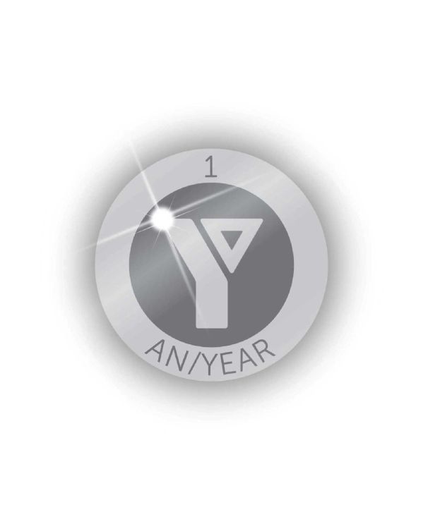 Years of Service Lapel Pin – YMCA Canada Online Store